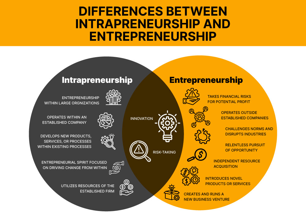 Chapter 3: Intrapreneurship – Innovative Business Mindset